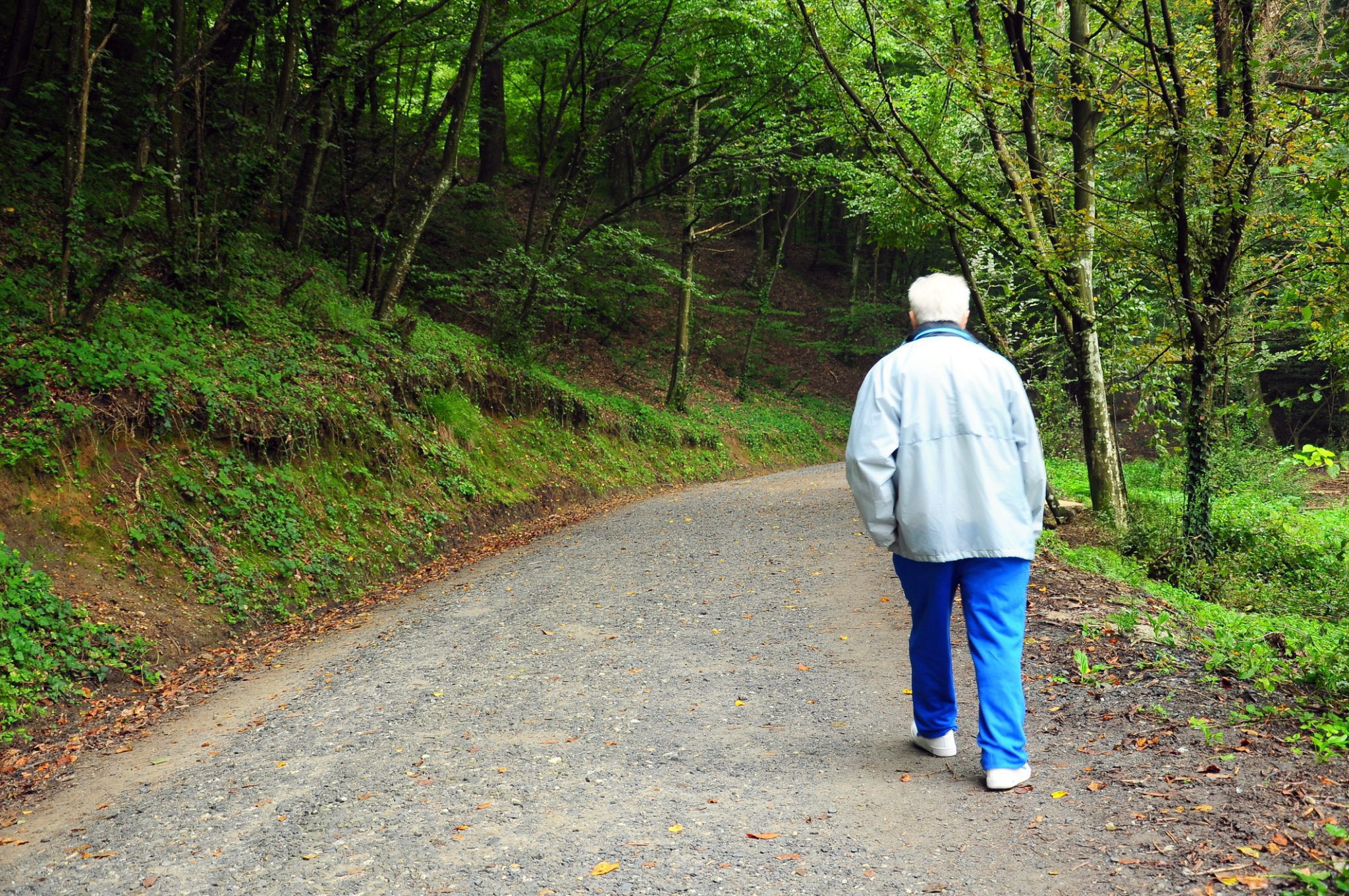 LIVE, Interactive Webinar Training - Safe Walking: A Strengths-Based ...